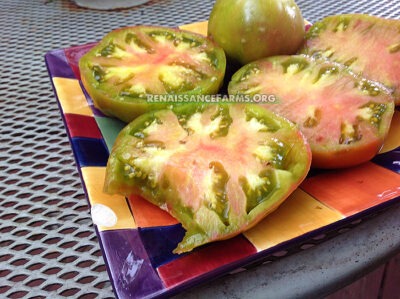 Ananas Noire Tomato Seeds For Sale At Renaissance Farms