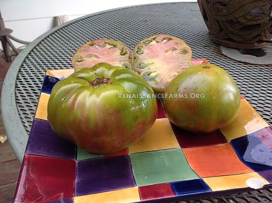 Ananas Noire Tomato Seeds For Sale At Renaissance Farms