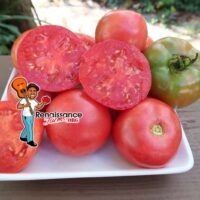 Midnight Sun Tomato Seeds For Sale At Renaissance Farms