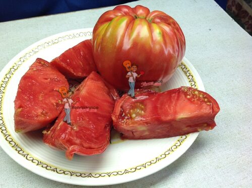 Behemoth King Tomato Seeds For Sale At Renaissance Farms