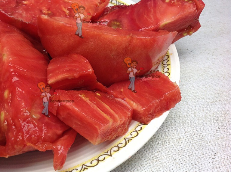 Behemoth King Tomato Seeds For Sale At Renaissance Farms