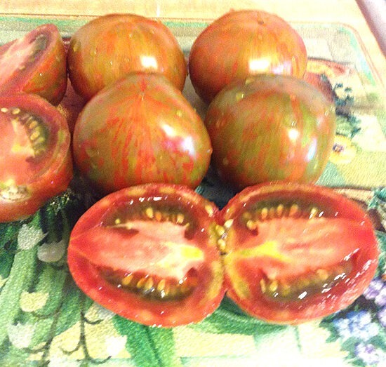 Yellow Accordion Tomato | Heirloom Tomato Seeds