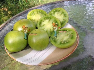 Aunt Ruby's German Green Tomato - Renaissance Farms Heirloom Tomato Seeds