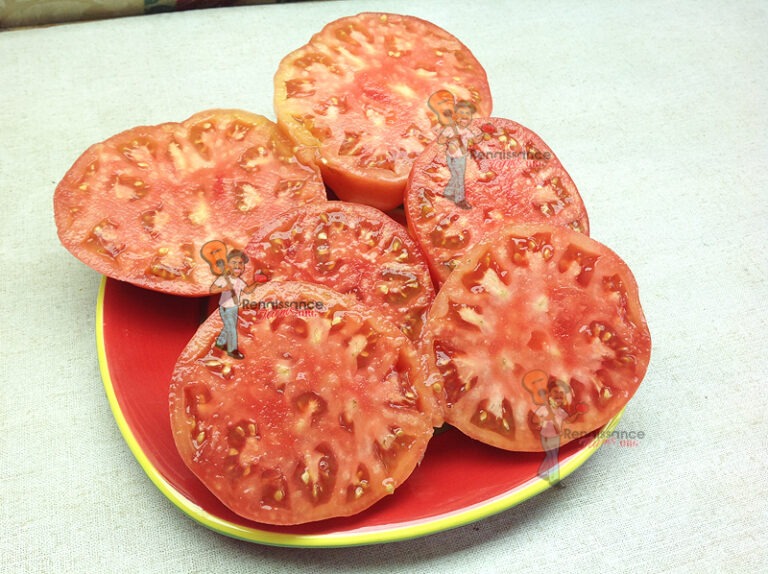 Dwarf Mallee Rose Tomato - Renaissance Farms Heirloom Tomato Seeds