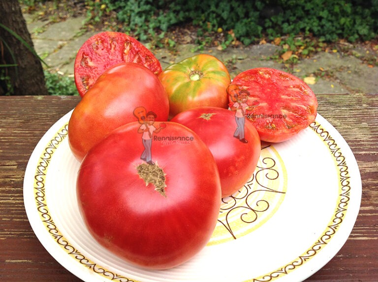 Dwarf Tomato Indeterminate Varieties - Renaissance Farms Heirloom ...
