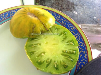 Emerald Evergreen Tomato - Renaissance Farms Heirloom Tomato Seeds