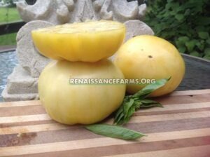 Black Magic Tomato Seeds For Sale At Renaissance Farms.