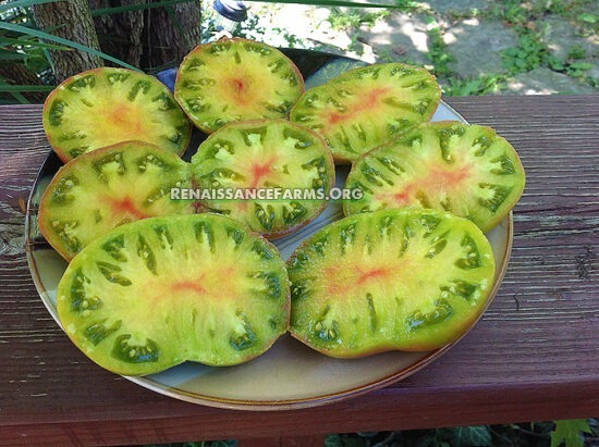 Captain Lucky Tomato Seeds Available For Sale At Renaissance Farms