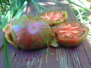 Gargamel Tomato Seeds For Sale At Rnaissance Farms