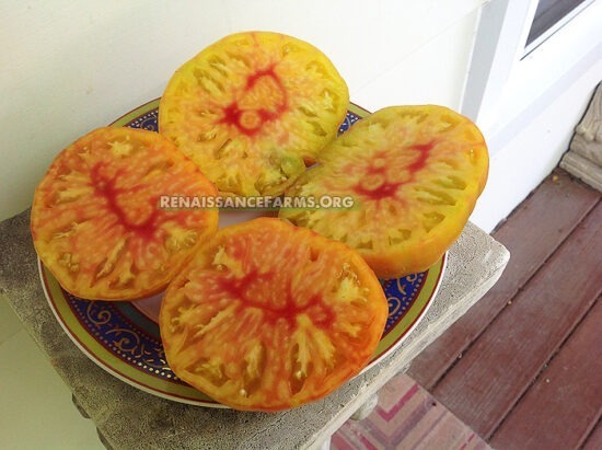 Old German Tomato - Renaissance Farms Heirloom Tomato Seeds