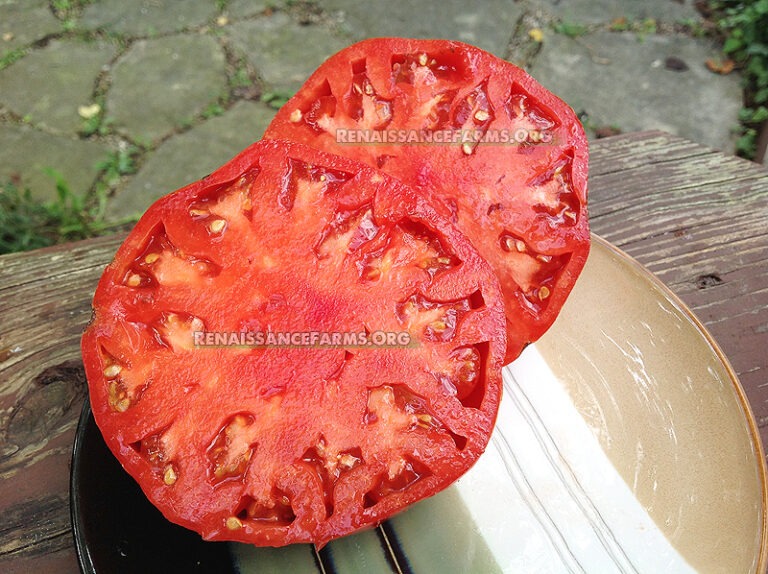 Reif Red Heart - Renaissance Farms Heirloom Tomato Seeds