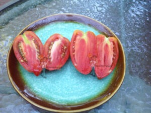 Striped Roman Tomato Seeds For Sale At Renaissance Farms