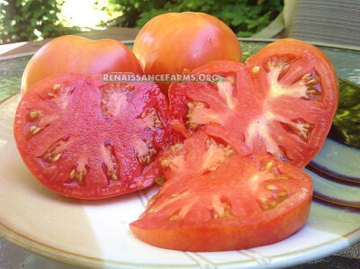 Monomakh's Hat Tomato Tomato Seeds For Sale At Renaissance Farms