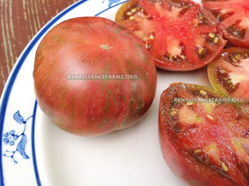 Adelaide Festival Dwarf Tomato - Renaissance Farms Heirloom Tomato Seeds