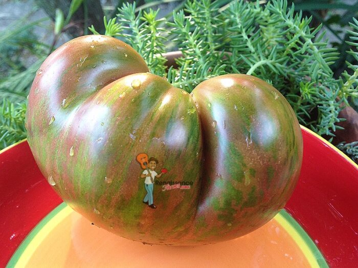 Some Facts About Dwarf Tomatoes That Can Help You Decide