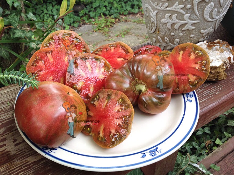 Dwarf Tennessee Suited Tomato - Renaissance Farms Heirloom Tomato Seeds