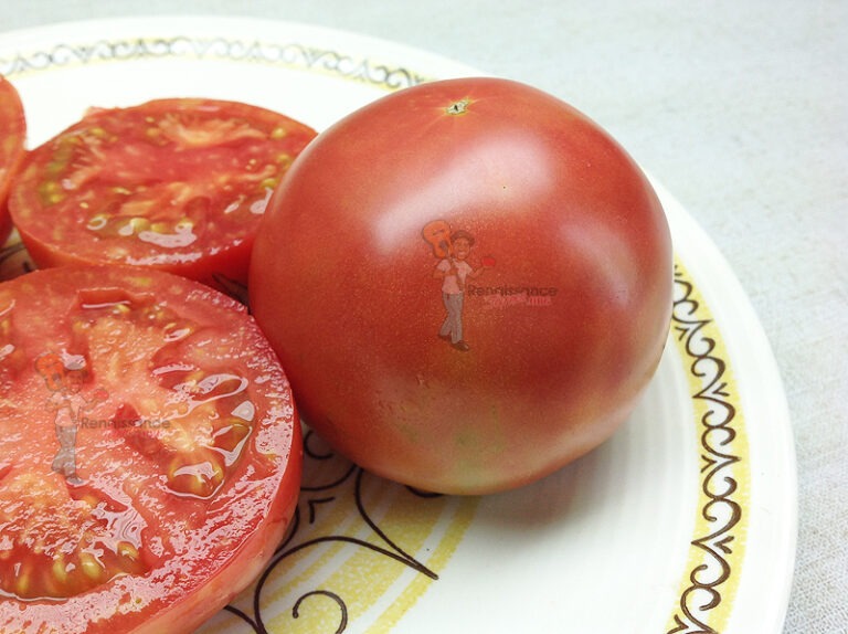 Indeterminate Tomatoes Archives - Page 11 of 28 - Renaissance Farms ...