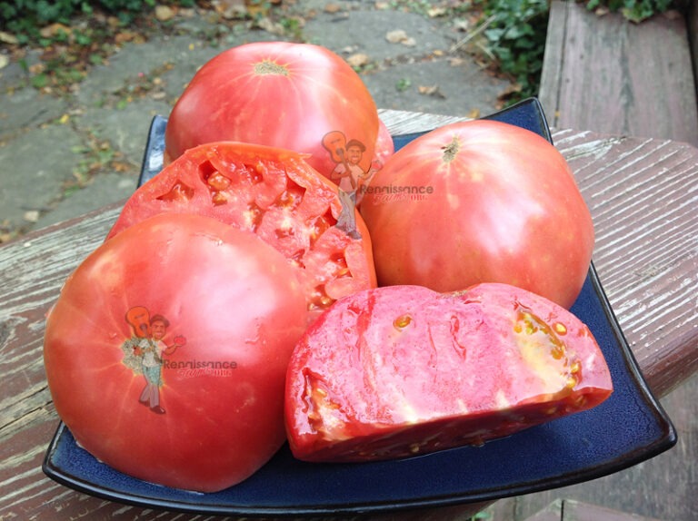 1-2 Pounds Heirloom Tomato Varieties Visit RenaissanceFarms.org