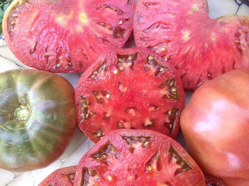 Liz Birt Tomato Seeds For Sale At Renaisance Farms