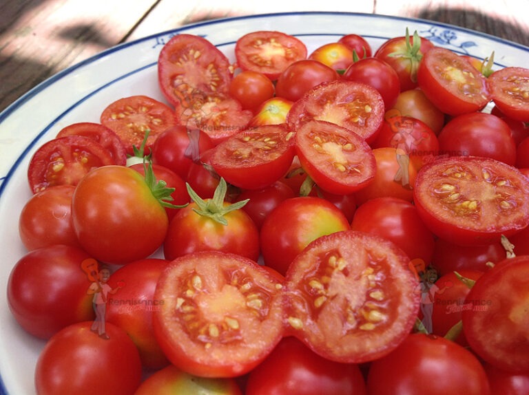 Minibel Tomato Seeds For Sale At Renaissabce Farms