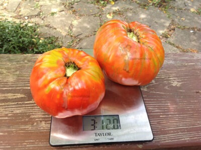 10 Of My Favorite Large Heirloom Tomatoes - Renaissance Farms Heirloom ...