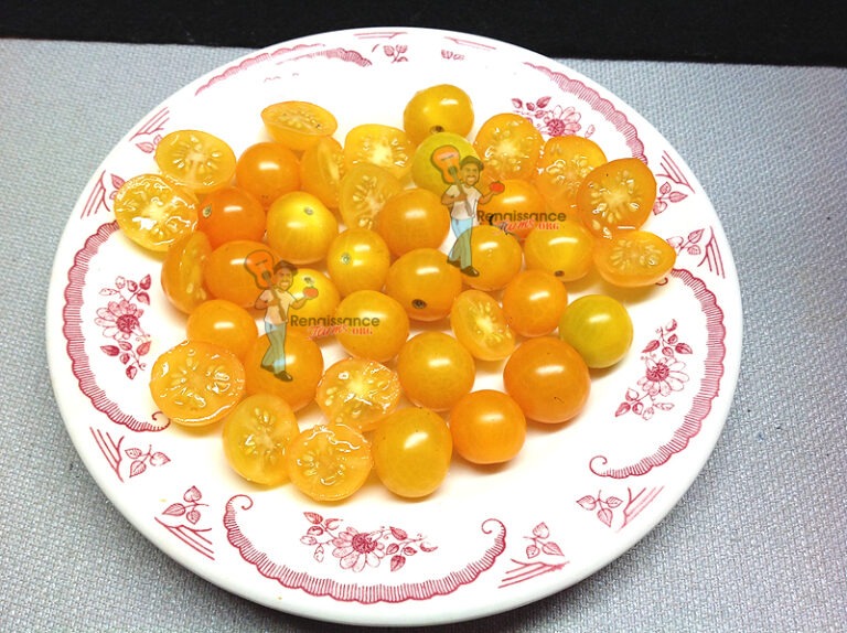 Jochalos Micro Dwarf Tomato Seeds For Sale At Renaissance Farms