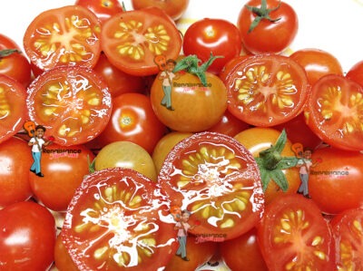 Pinocchio Red Micro Dwarf Tomato For Sale At Renaissance Farms