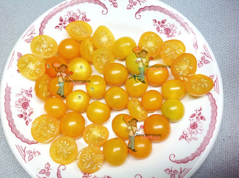 Jochalos Micro Dwarf Tomato Seeds For Sale At Renaissance Farms