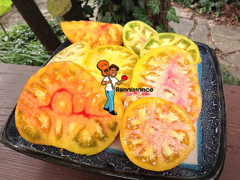 Beauty King Tomato Seeds For Sale At Renaissance Farms