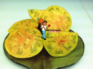 Dwarf Confetti Tomato Seeds For Sale At Renaissance Farms