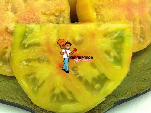 Dwarf Confetti Tomato Seeds For Sale At Renaissance Farms