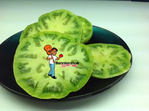 Dwarf Jackass Green Tomato Seeds For Sale At Renaissance Farms