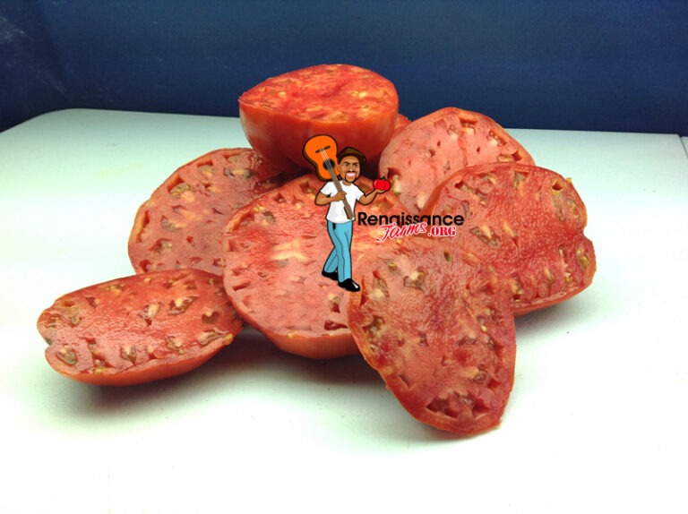 Holy Land Tomato Seeds For Sale At Renaissance Farms