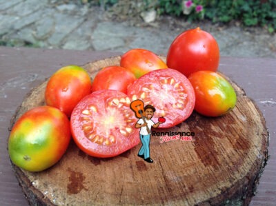 Tomato Gallery - Renaissance Farms Heirloom Tomato Seeds