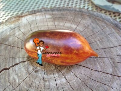 Dwarf Shadow Boxing Tomato Seeds For Sale At Renaissance Farms