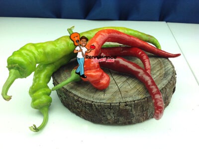 Turkish Cayenne Pepper Seeds For Sale At Renaissance Farms