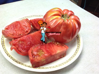 Tomato Gallery - Renaissance Farms Heirloom Tomato Seeds