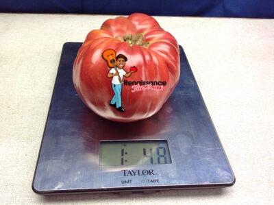 Tomato Gallery - Renaissance Farms Heirloom Tomato Seeds