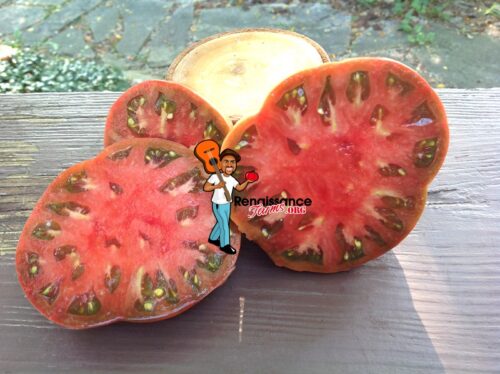 Black Magic Tomato Seeds For Sale At Renaissance Farms.