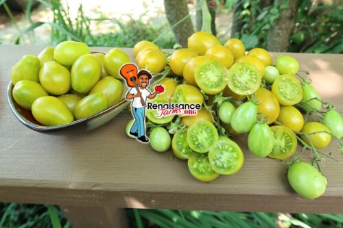 Amber Keyes Tomato Seeds For Sale At Renaissance Farms