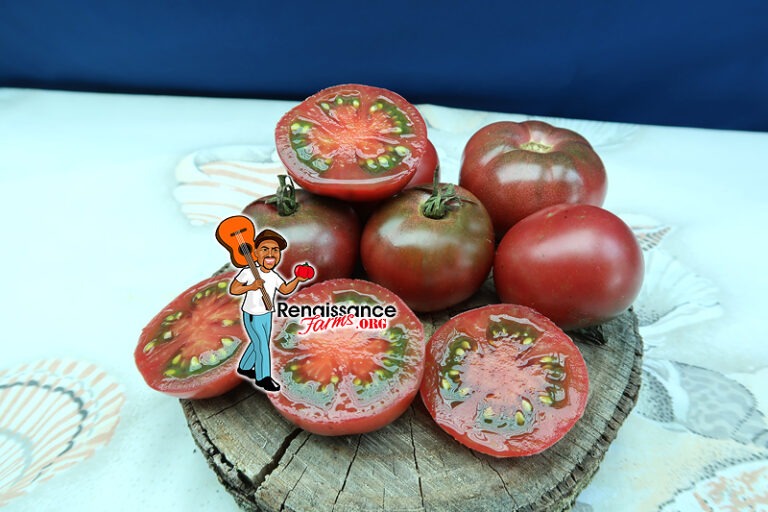 KARMA Purple Tomato Seeds For Sale At Renaissance farms