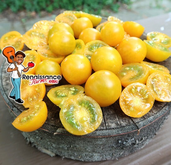 Multiflora Tomatoes Archives | Heirloom Tomato Seeds