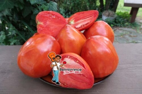 Zore's Big Red Tomato - Renaissance Farms Heirloom Tomato Seeds