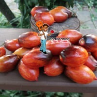Heirloom Tomato Seeds For Sale - Renaissance Farms Heirloom Tomato Seeds